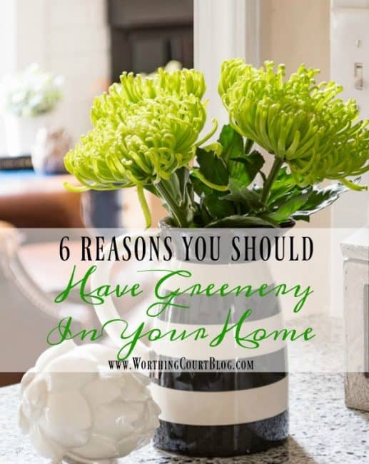 6 Great Reasons To Add Greenery Or Flowers To Your Home - Worthing ...