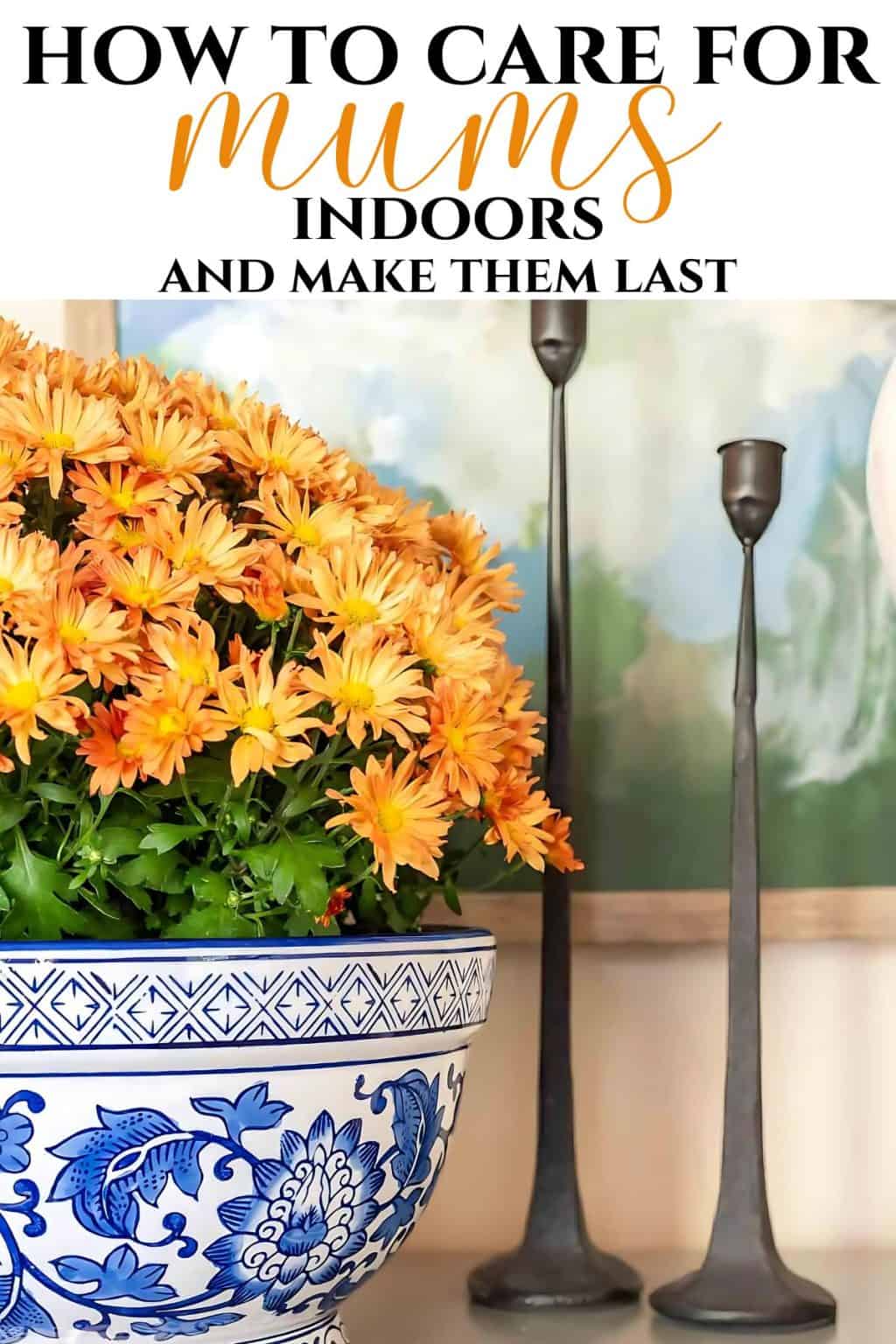 How to Care for Mums Indoors and Make Them Last - Worthing Court | DIY ...