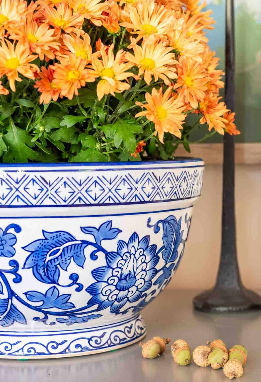 10 Smart Things to do Now to Get Ready for Fall - Worthing Court | DIY ...